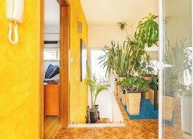 Um corredor com parede amarela, porta de madeira e carpete azul que leva a um quarto com cama e planta.