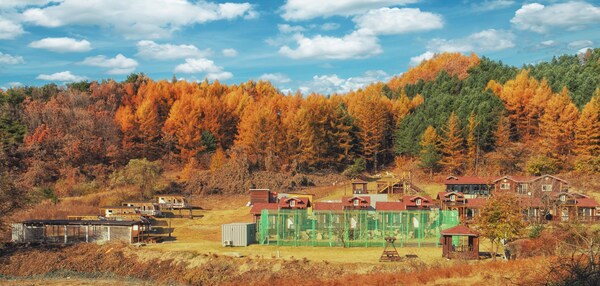 자연과힐링 - 홍천군