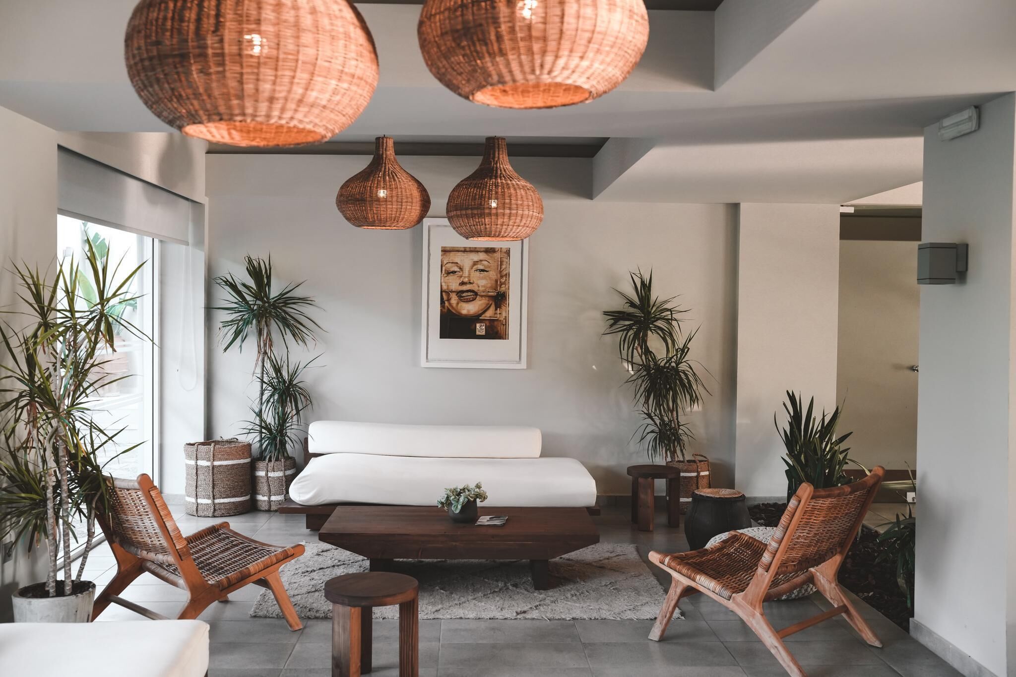 Uma sala de estar moderna com um sofá branco, duas cadeiras de vime, uma mesa de centro e várias plantas em vasos.
