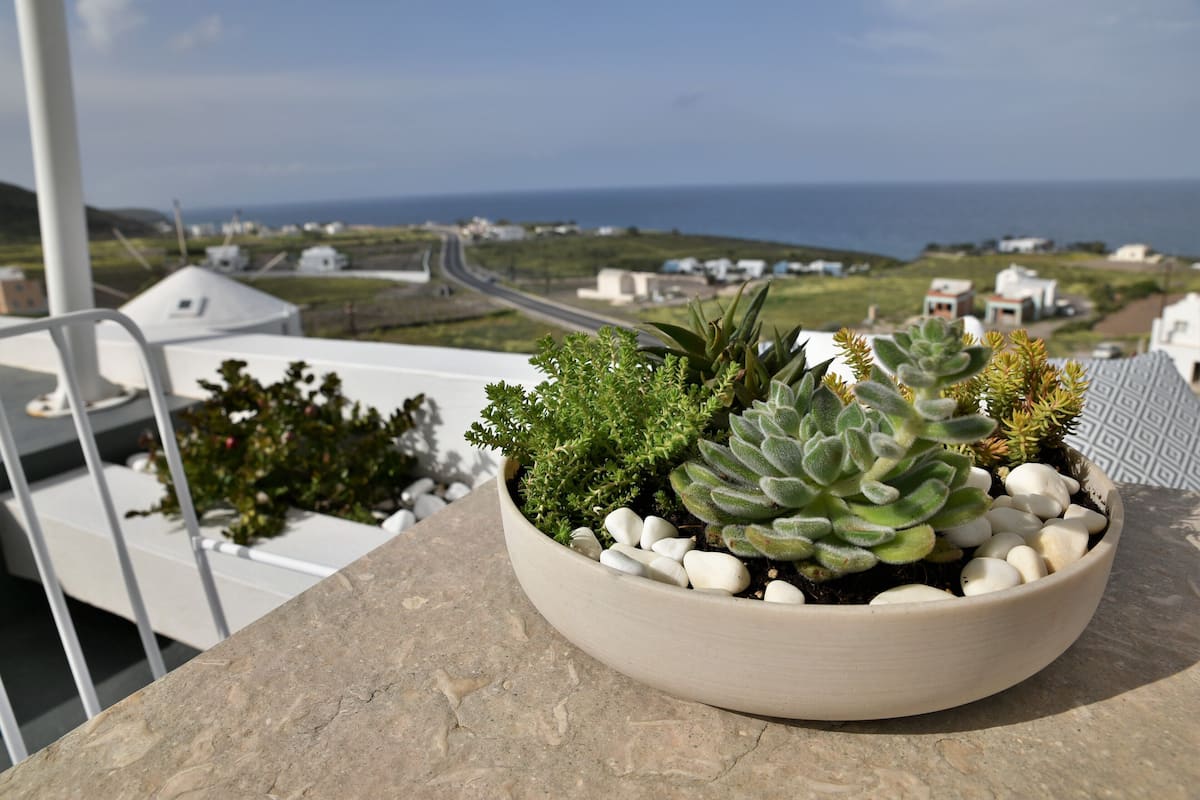 Planta em vaso com suculentas e arbustos numa varanda com vista para uma paisagem costeira com casas e estrada.