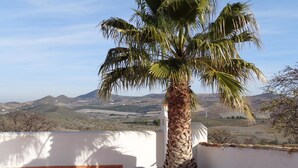 Uma palmeira em um quarto de paredes brancas, com vista para uma paisagem montanhosa.