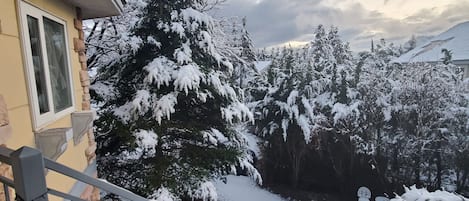 Área externa coberta por neve com uma escadaria que leva à entrada de um edifício, cercada por árvores carregadas de neve e um céu claro.