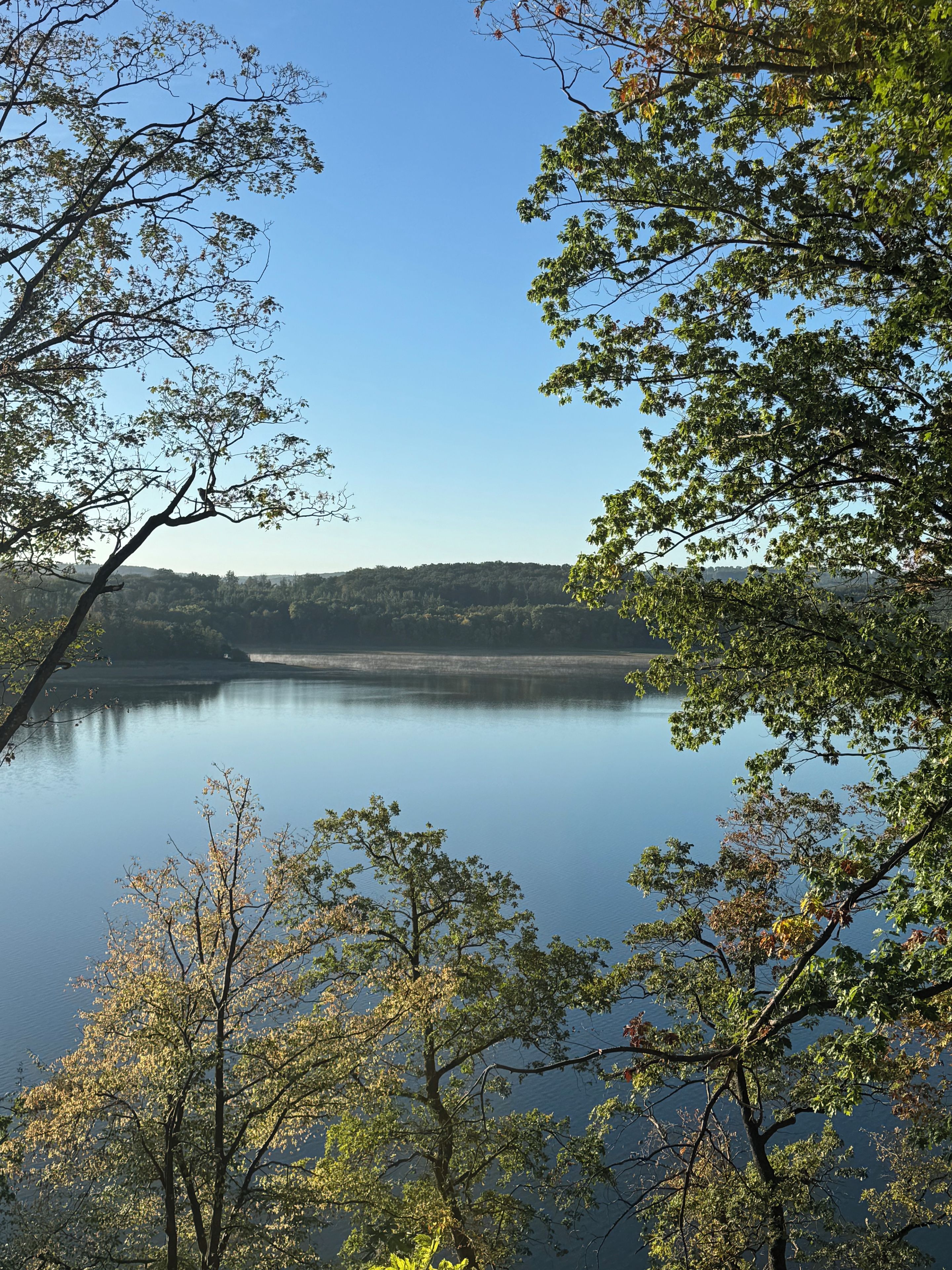 Um lago calmo rodeado por árvores, sob um céu límpido.