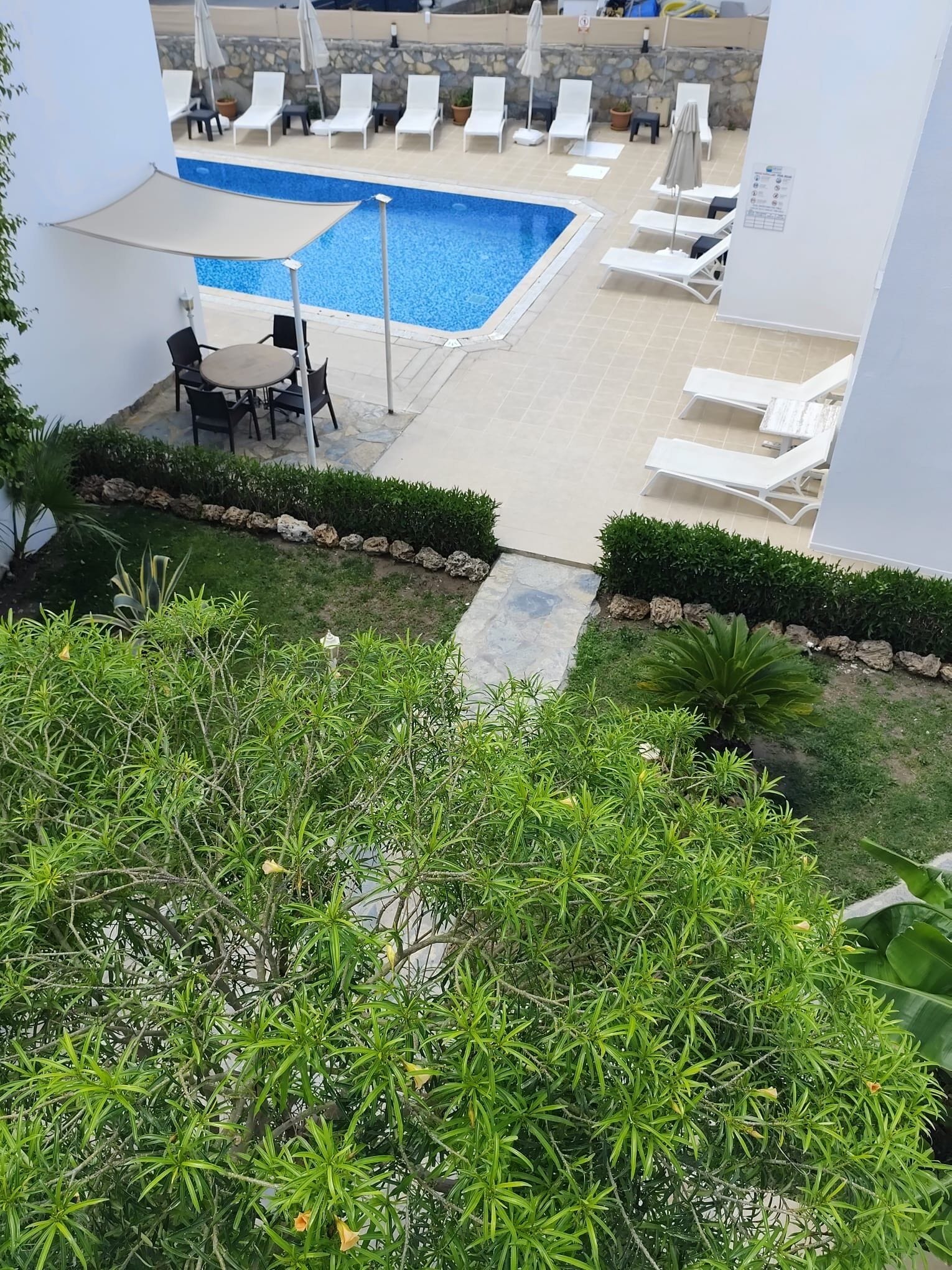 Área de piscina com espreguiçadeiras, uma mesa e um pequeno jardim com plantas.