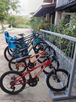 Uma fileira de bicicletas estacionadas em área externa com piso de concreto, cercada por vegetação e um edifício ao fundo.