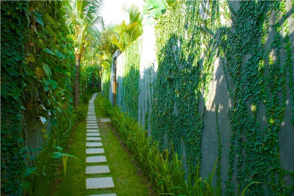 Villa, 2 quartos (Tunjung) | Jardim