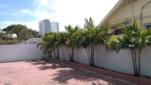 Um espaço ao ar livre pavimentado, com parede branca e palmeiras.