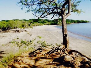 Praia
