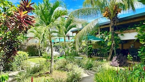 Um jardim tropical com trilha, palmeiras e áreas de estar ao ar livre.