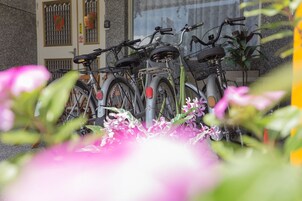 Terrenos do alojamento