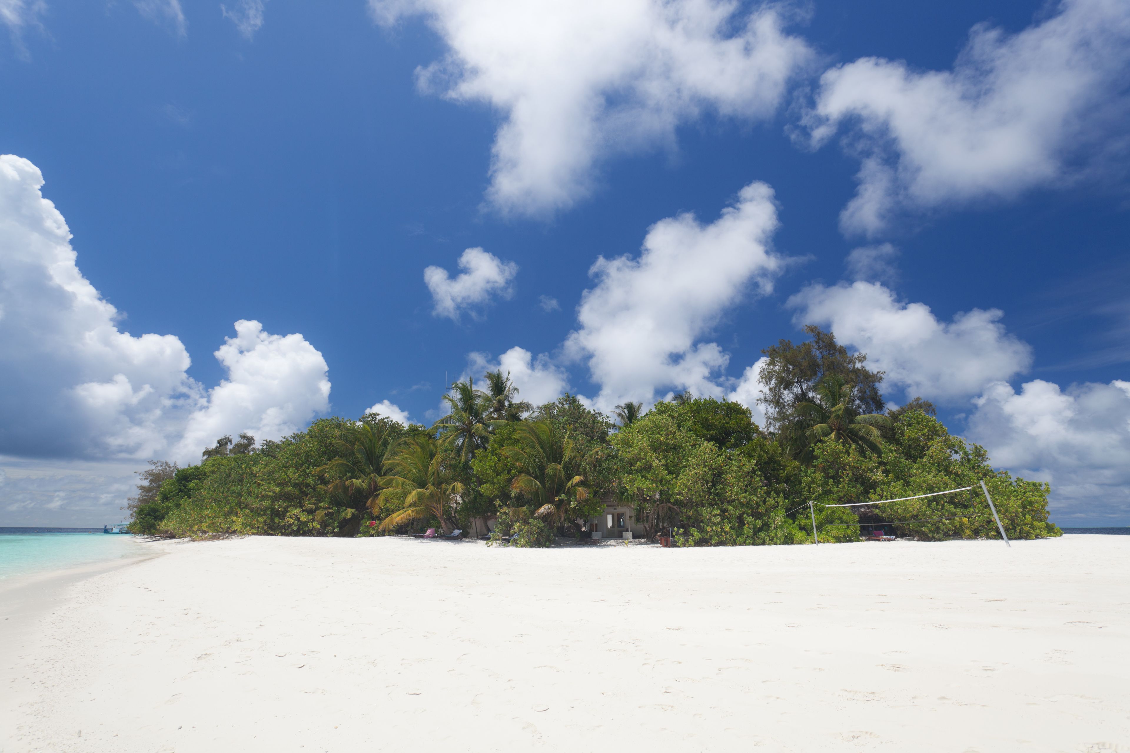 Uma praia com areia branca, céu azul límpido e um pequeno conjunto de árvores.