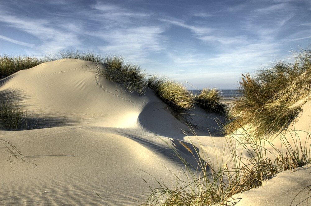 15 Minuten Oleron Royan En De Charme Van Een 18e Renovée- Wifi Tuin. - Charente-Maritime