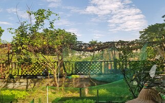 Um jardim com cerca de madeira, plantas verdes e uma pérgula.