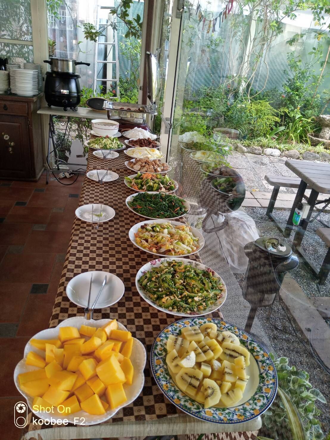 Mesa de buffet com diversos pratos e um gato perto de uma janela.