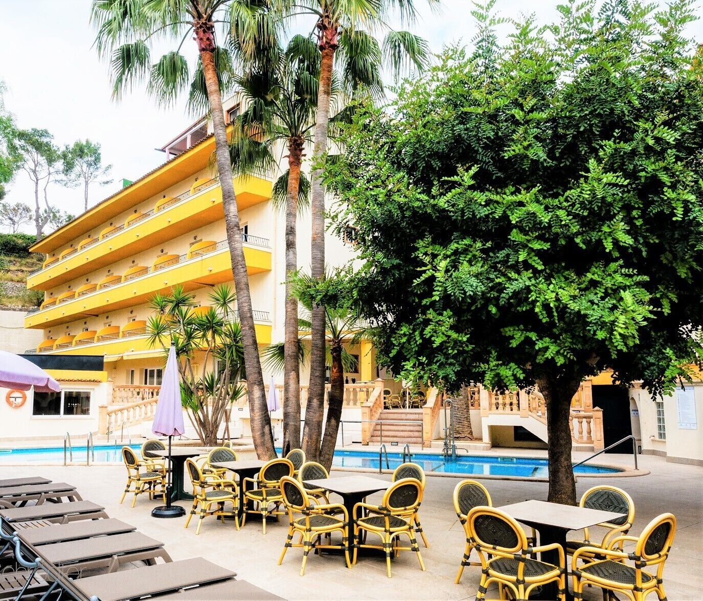Jardim