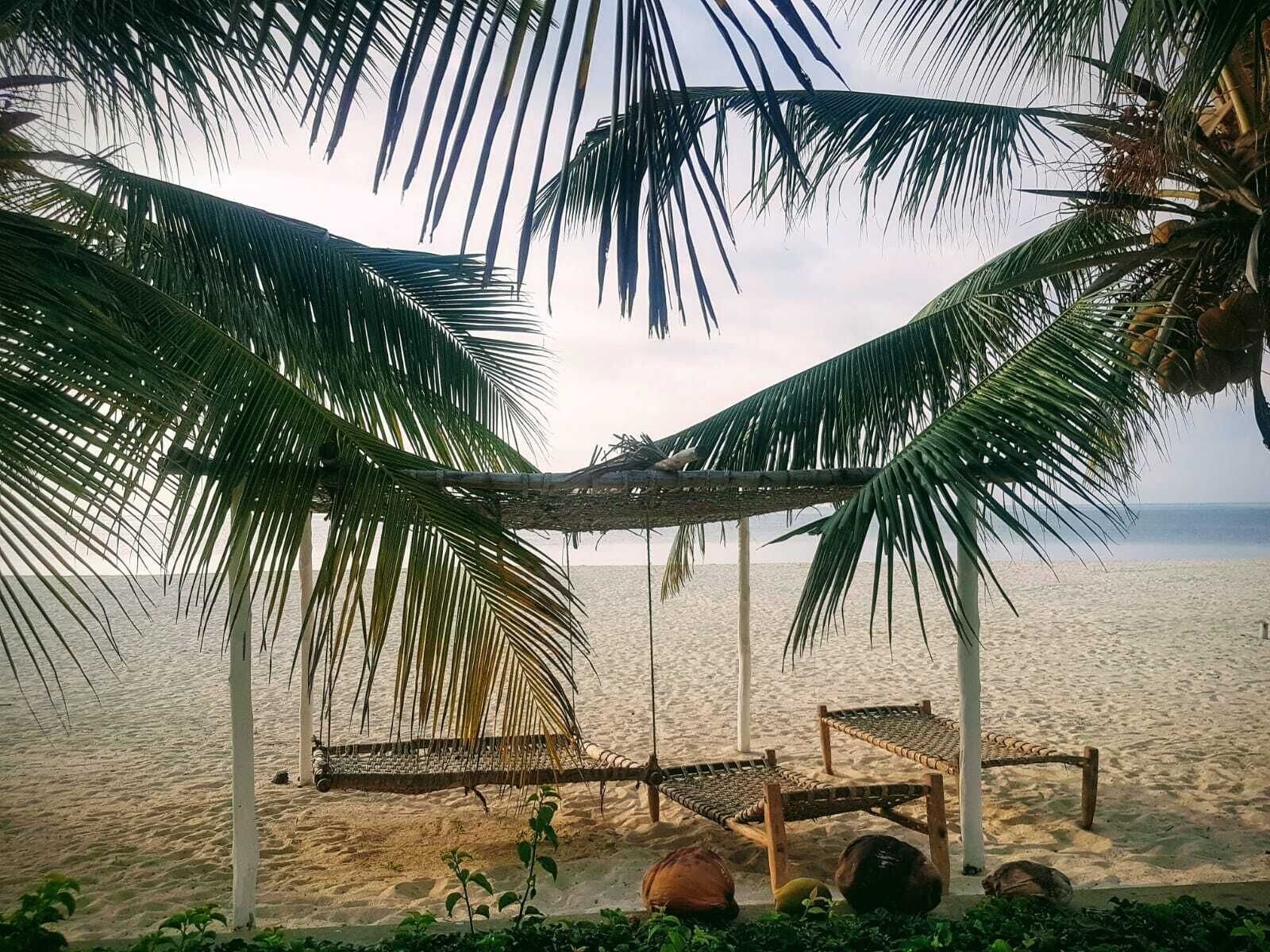 Cena de praia com uma rede sob uma palmeira, um banco de madeira e cocos na areia.