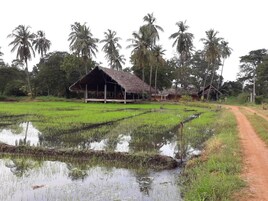 Terrenos do alojamento