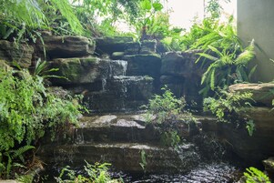 Piscina com cascata
