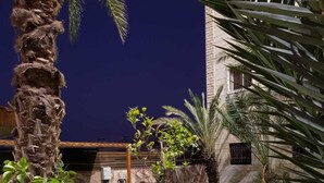 Um quintal bem cuidado com piscina, grama sintética e diversas plantas.
