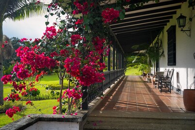 Hotel Hacienda Supracafe