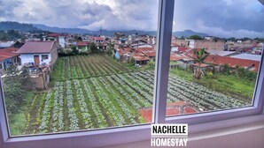 Zona residencial com fileiras de plantações e casas com telhados vermelhos.