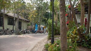 Rua arborizada com motocicletas estacionadas.
