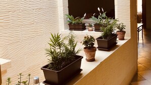 Um corredor com paredes brancas texturizadas e arcos, repleto de plantas em vasos e uma garrafa.