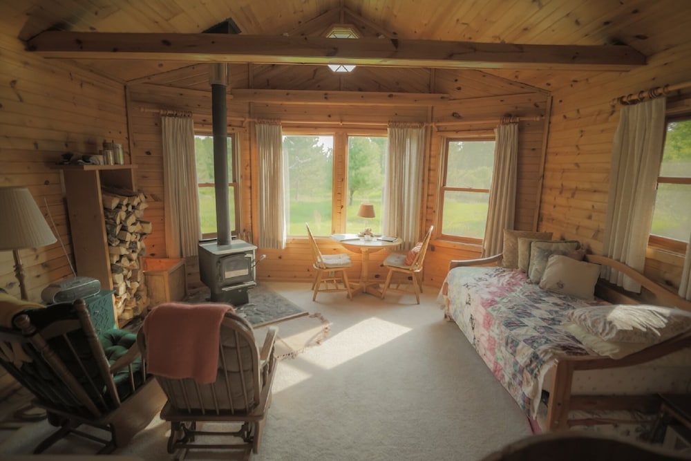Pet Freindly Cabin In The Meadows On The Edge Of The Forest With Big Windows - Minnesota