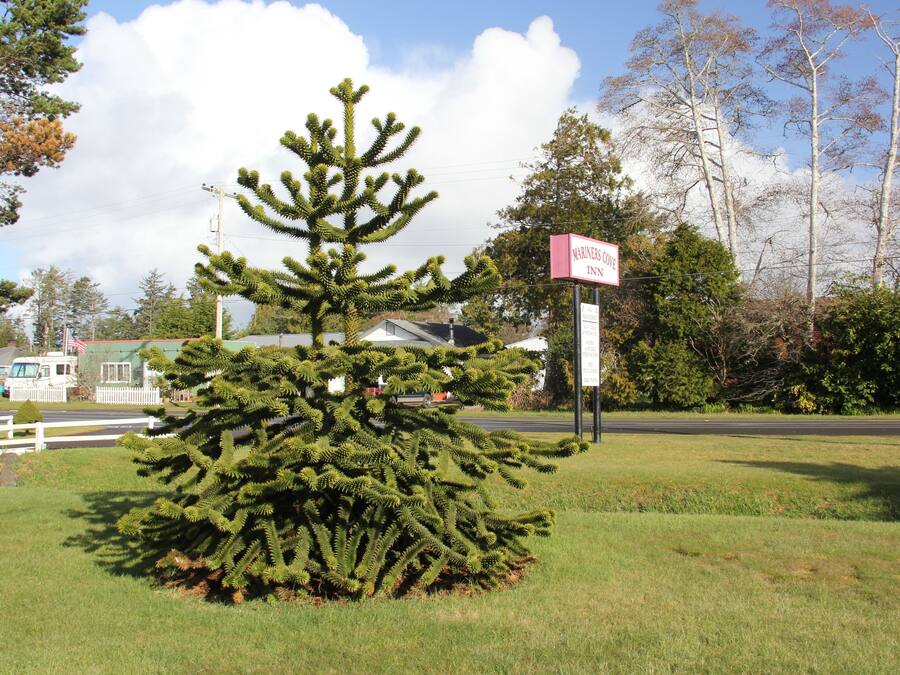 Terrenos do alojamento