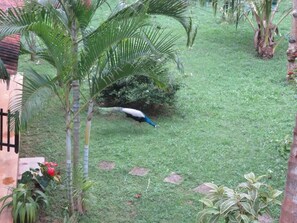 Terrenos do alojamento