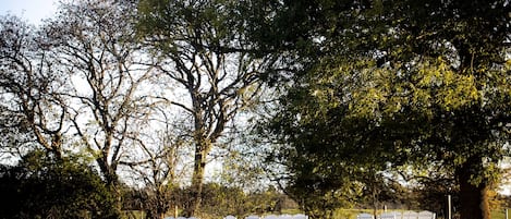 Área da propriedade