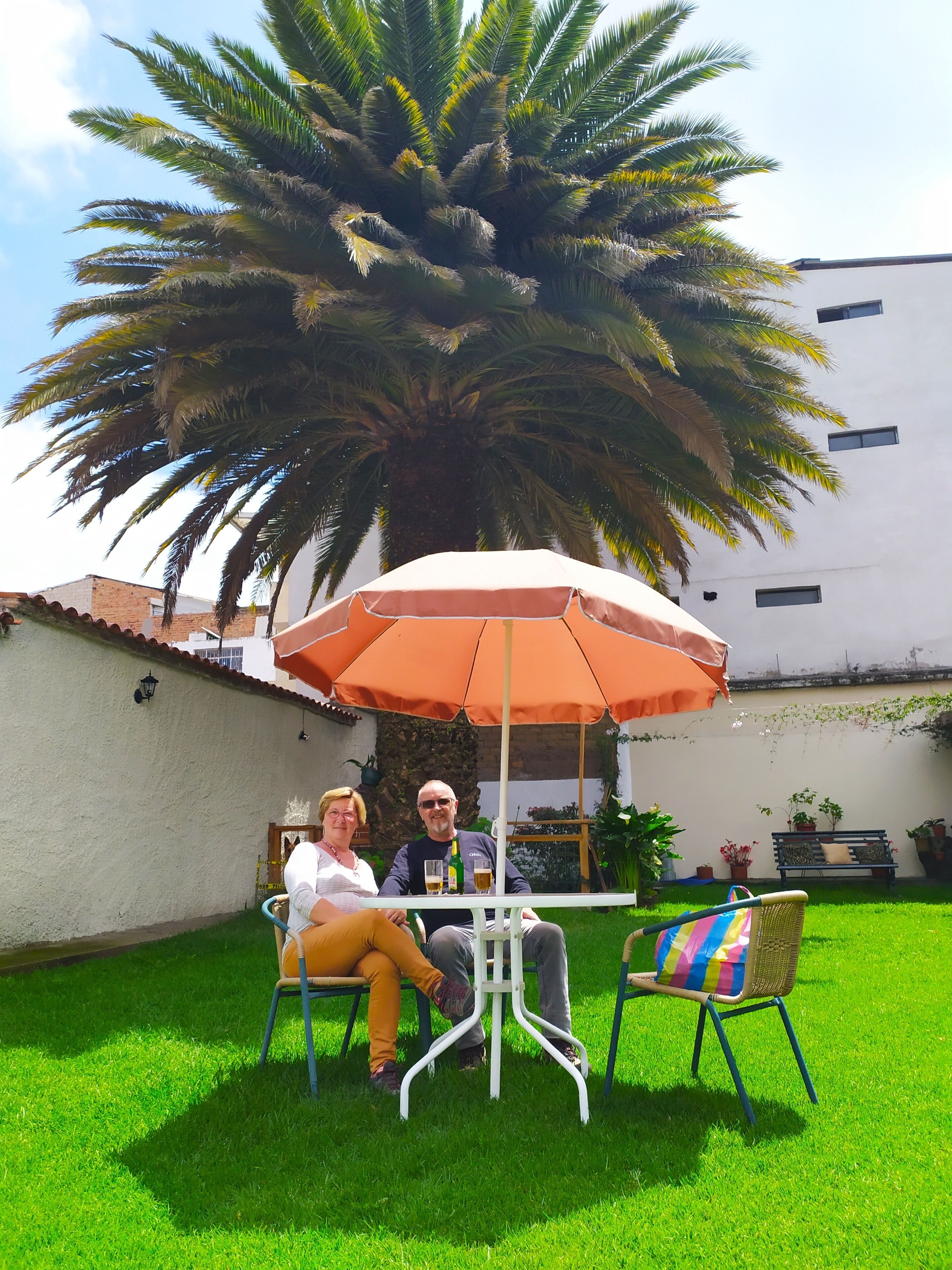 Um pátio com mesa e cadeiras sob um guarda-sol, cercado por um gramado verdejante e uma palmeira imponente.