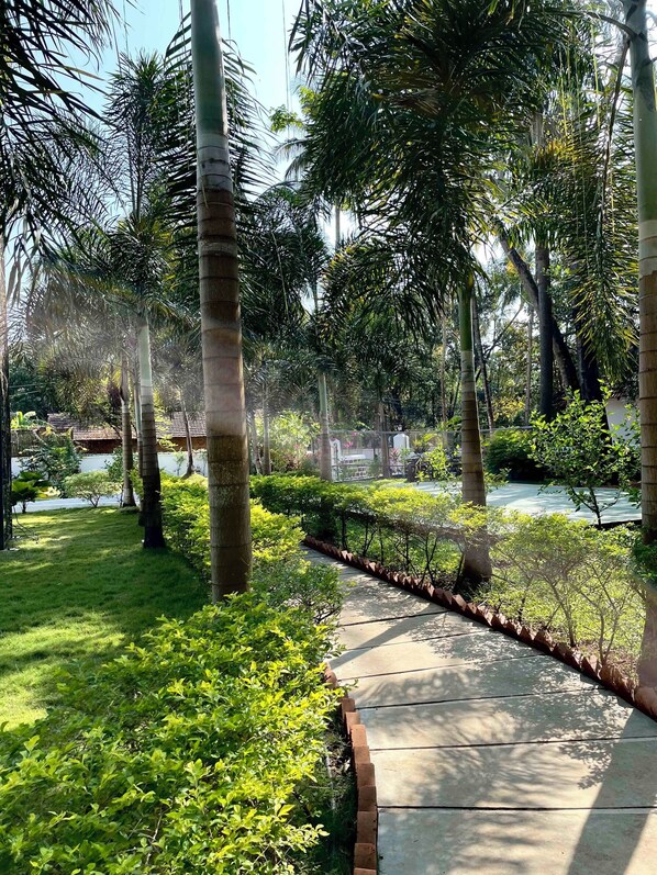 Terraço/pátio interior