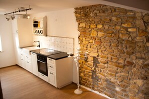 Apartamento, 5 quartos, vista para o rio | Cozinha privada | Um frigorífico/congelador grande, um micro-ondas, um forno 