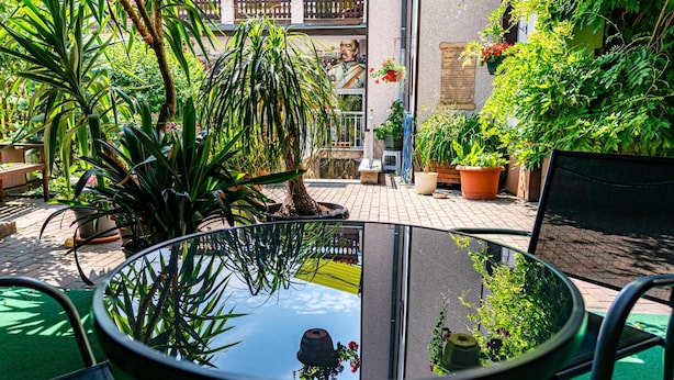 Uma mesa de vidro com vista para um pátio cheio de plantas em vasos e um mural no prédio.
