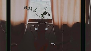 Uma janela com cortinas finas, um vaso de planta e vista para uma paisagem distante.