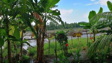 Terrenos do alojamento
