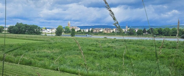 Rheinhotel Larus - Koblencja