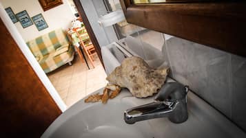 Quarto casal, sacada | Banheiro | Chuveiro, chuveiro com efeito de chuva, secador de cabelo