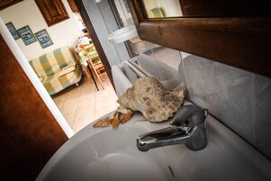 Quarto Duplo, varanda | Casa de banho | Um polibã, um chuveiro fixo, um secador de cabelo, toalhas fornecidas 