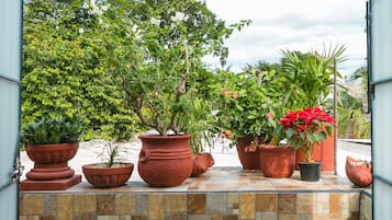 Suite-Estúdio Familiar, 1 cama queen-size e sofá-cama, não fumadores | Terraço/pátio interior