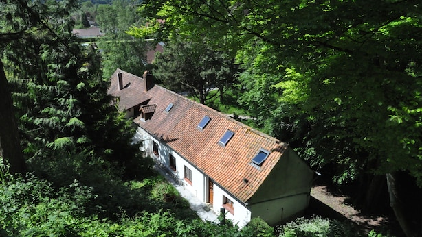 Uma casa com telhado inclinado, rodeada por vegetação densa.