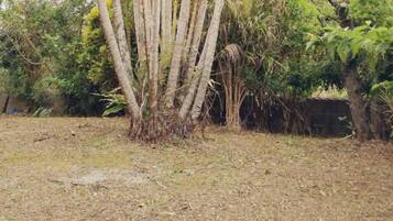 Pormenores do interior