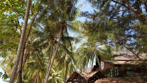 Um resort tropical com construções de palha, palmeiras e vista para a praia.