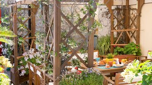 Uma pérgola de madeira com plantas trepadoras e flores, uma mesa com comida e bebidas, e plantas em vasos ao redor.