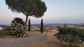 Vista da propriedade