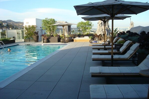 Área de piscina no terraço com espreguiçadeiras e guarda-sóis, rodeada por plantas em vasos e vista para a cidade.