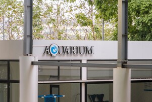 Um edifício com a placa 'AQUARIUM', indicando um local, possivelmente um museu ou espaço de exposição.