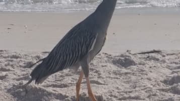 Perto da praia