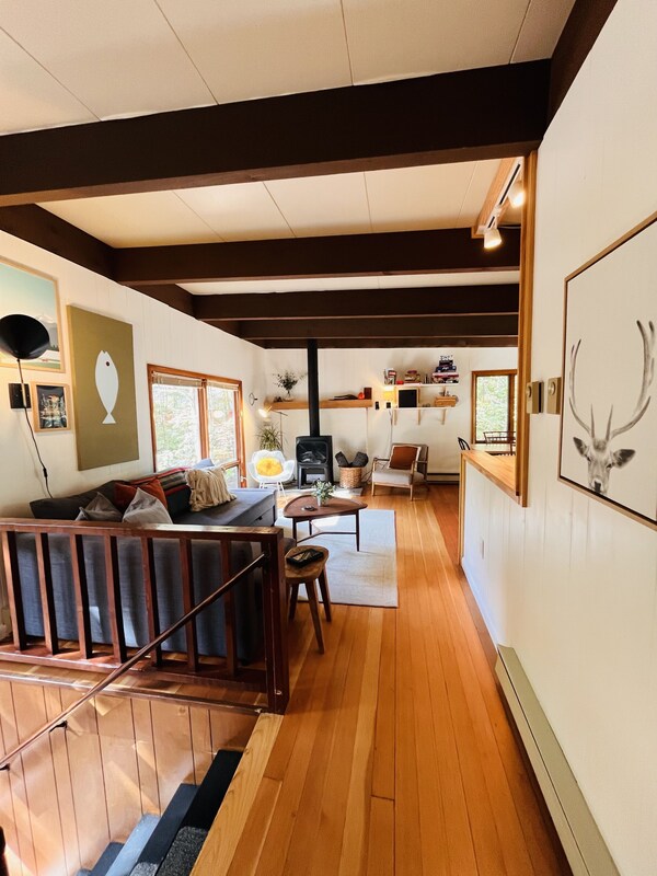 T House, Lake Harmony, Poconos - Lake Harmony, PA